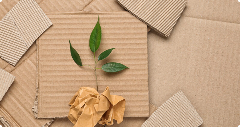 Spotlight on: Sustainable Retail Display Packaging - Three Point